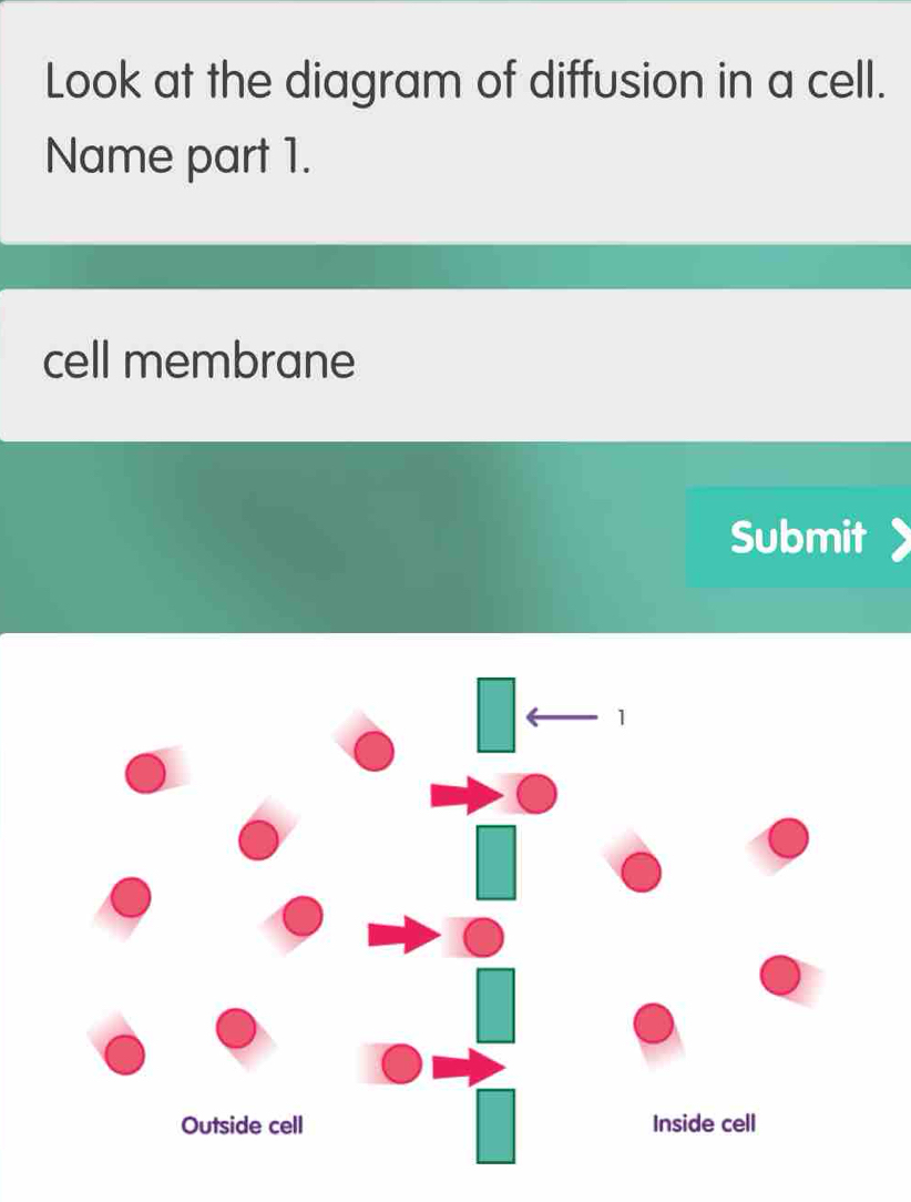 Solved: Look at the diagram of diffusion in a cell. Name part 1. cell ...