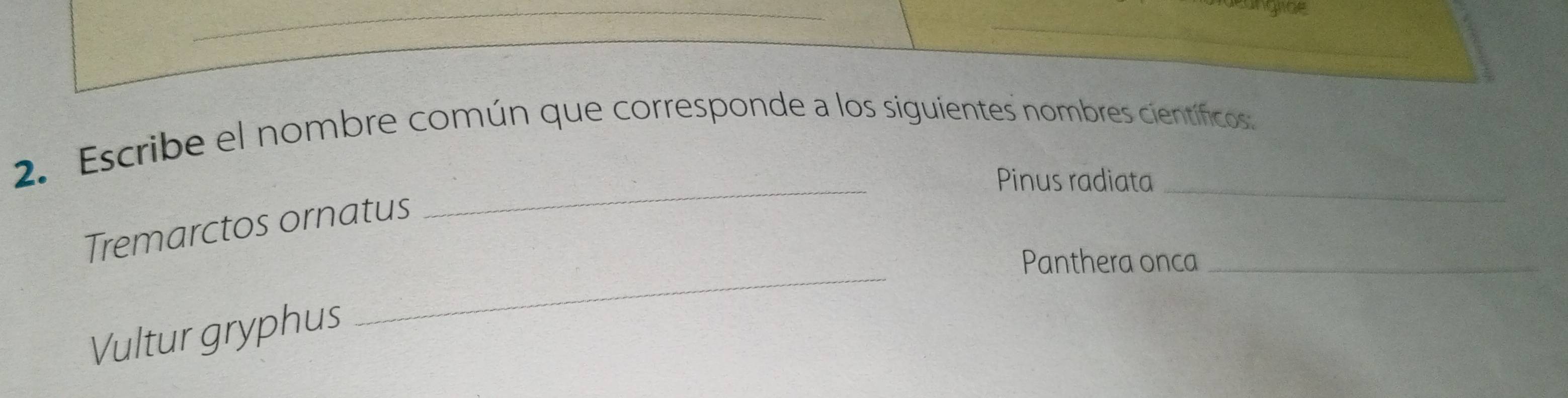Resuelto:ungliae _ 2. Escribe el nombre común que corresponde a los ...