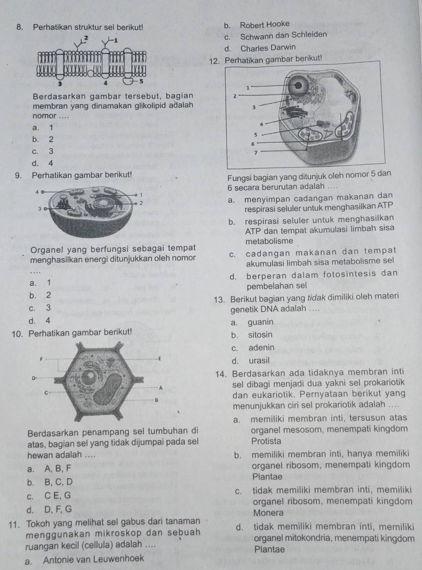 Telah dijawab:Perhatikan struktur sel berikut! b. Robert Hooke c ...