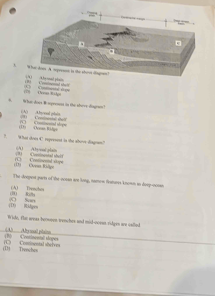 Solved: (A) Abyssal plain (B) Continental shelf (C) Continental slope ...