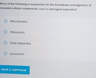 Solved: Which of the following is responsible for the breakdown and ...