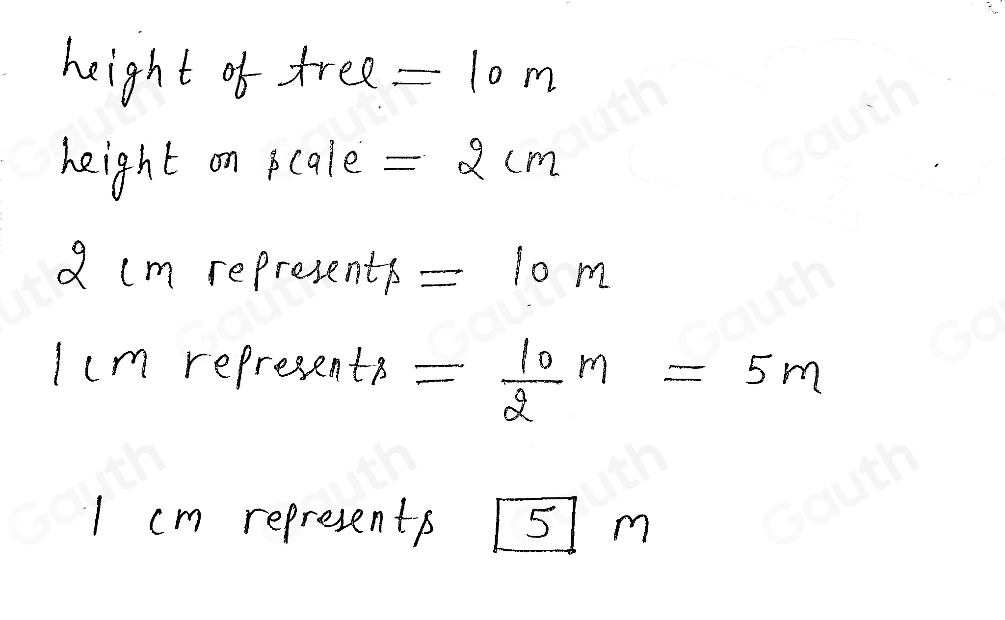 Solved: The tree shown in the scale diagram below is 10 m tall in real ...