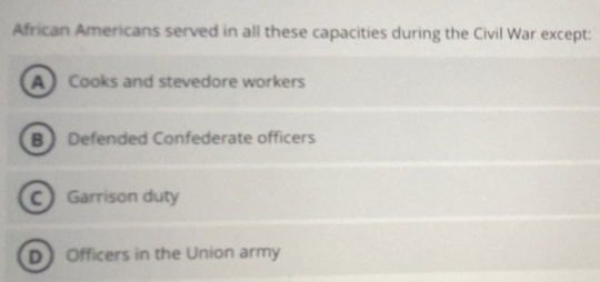 Solved: African Americans served in all these capacities during the ...