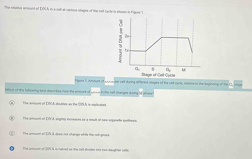Solved: The relative amount of DNA in a cell at various stages of the ...