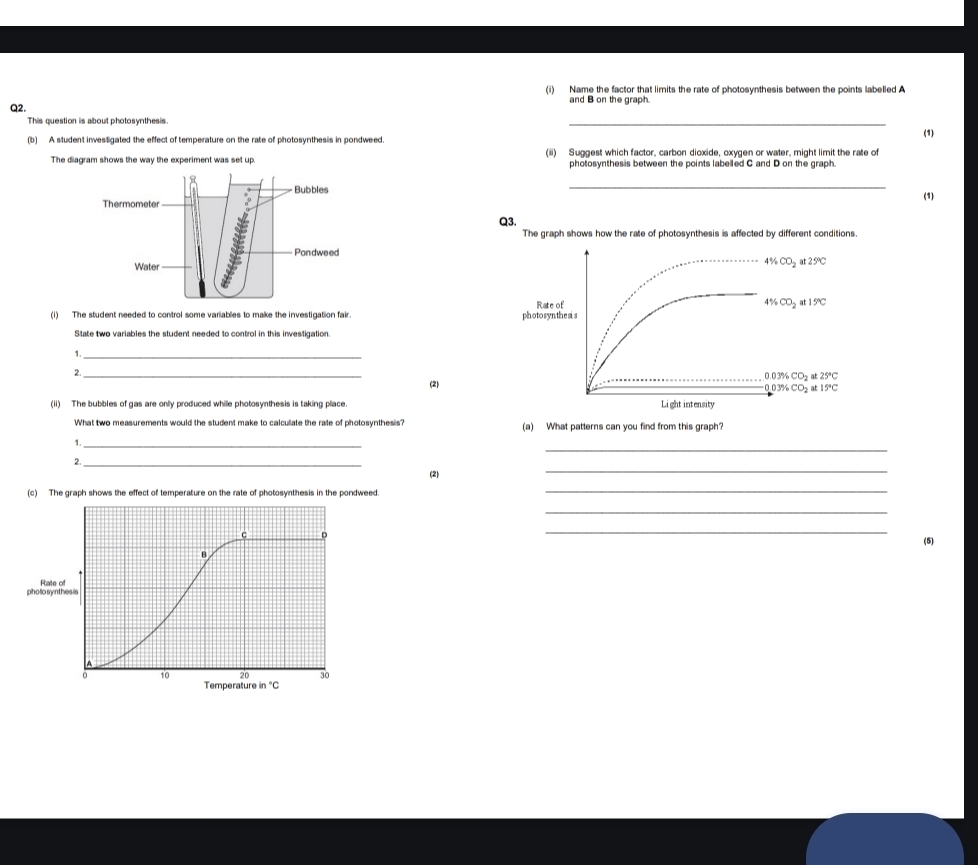 Solved: Name the factor that limits the rate of photosynthesis between ...