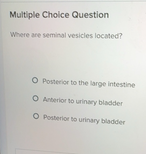 Solved: Question Posterior to the large intestine Anterior to urinary ...