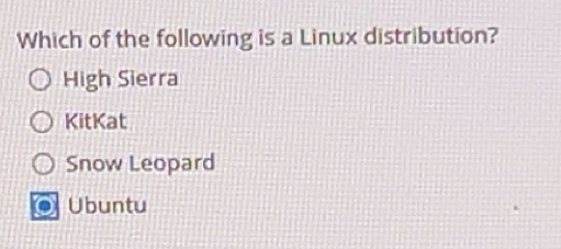 Solved: Which of the following is a Linux distribution? High Sierra KitKat Snow Leopard o Ubuntu ...