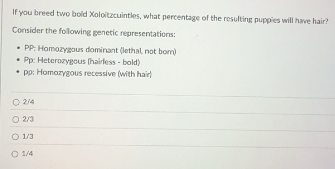 Resuelto:If you breed two bold Xoloitzcuintles, what percentage of the ...