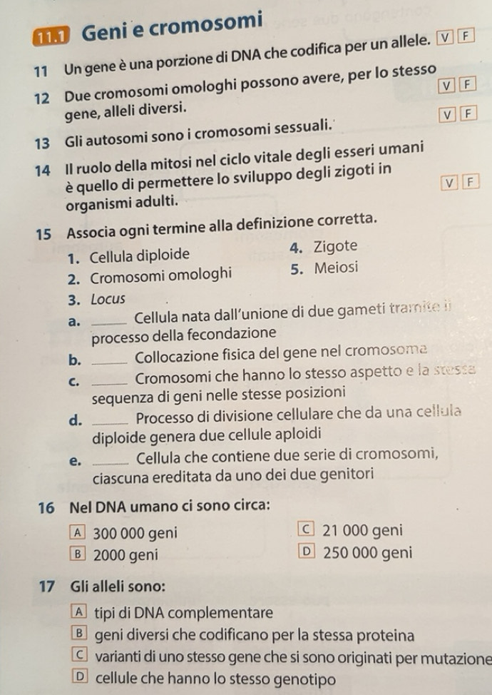 Risolto:Geni e cromosomi 11 Un gene è una porzione di DNA che codifica ...