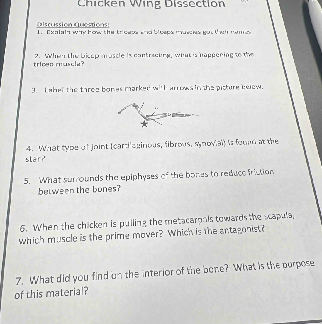Solved: Chicken Wing Dissection Discussion Questions: 1. Explain why ...