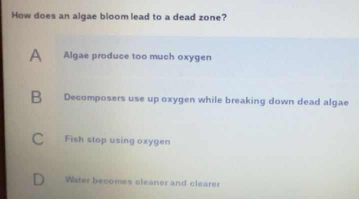 Solved: How does an algae bloom lead to a dead zone? A Algae produce ...