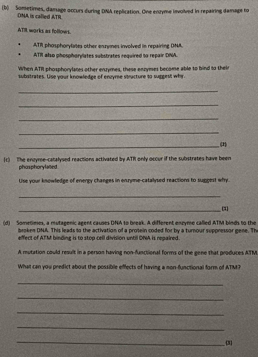 Solved: Sometimes, damage occurs during DNA replication. One enzyme ...