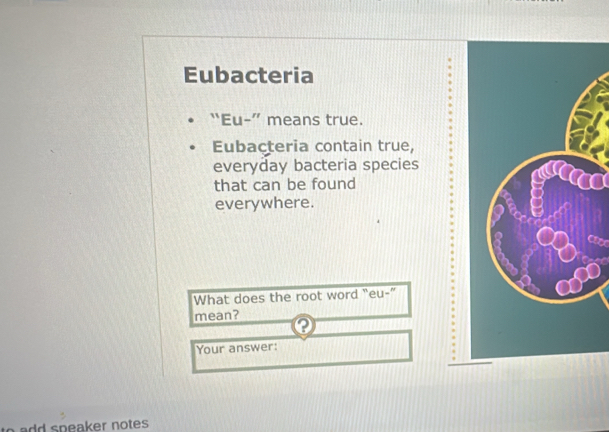 Solved: Eubacteria “Eu-” means true. Eubacteria contain true, everyday ...