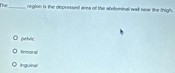 Solved: The _region is the depressed area of the abdominal wall near ...