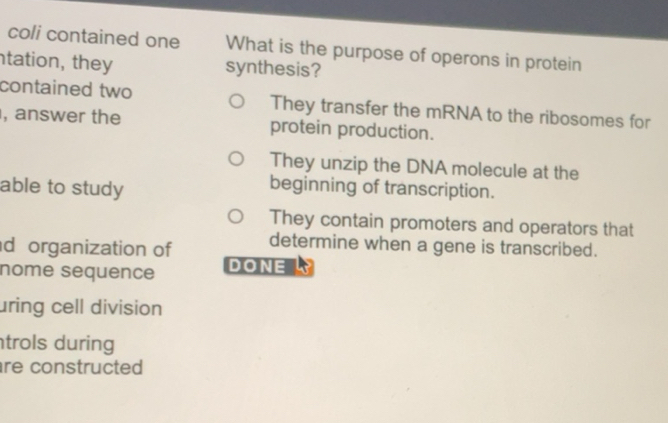 Solved: coli contained one What is the purpose of operons in protein ...