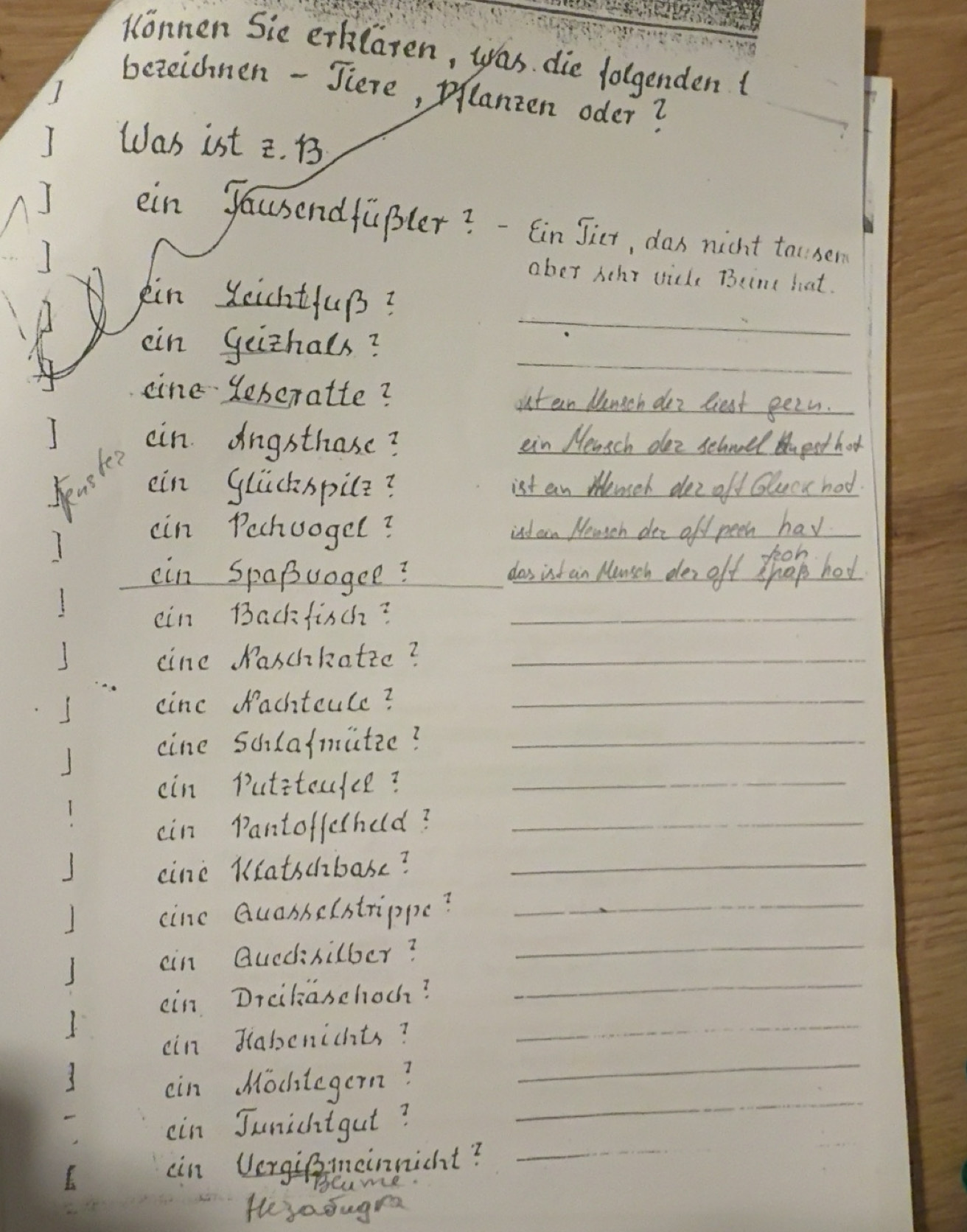 Gelöst:Konnen Sie erhlaren, was. die lolgenden t beteidmen - Jiere ...