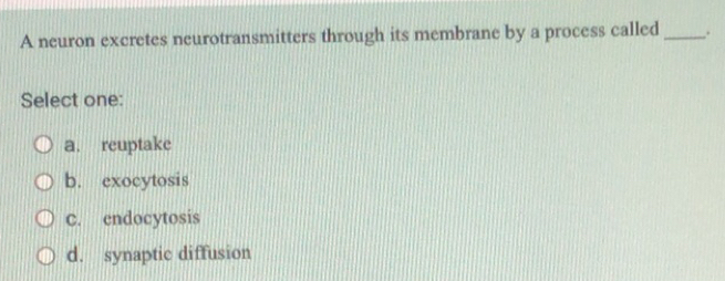 Solved: A neuron excretes neurotransmitters through its membrane by a ...