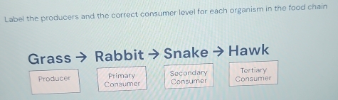 Solved: Label the producers and the correct consumer level for each ...