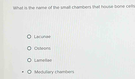 Solved: What is the name of the small chambers that house bone cells ...