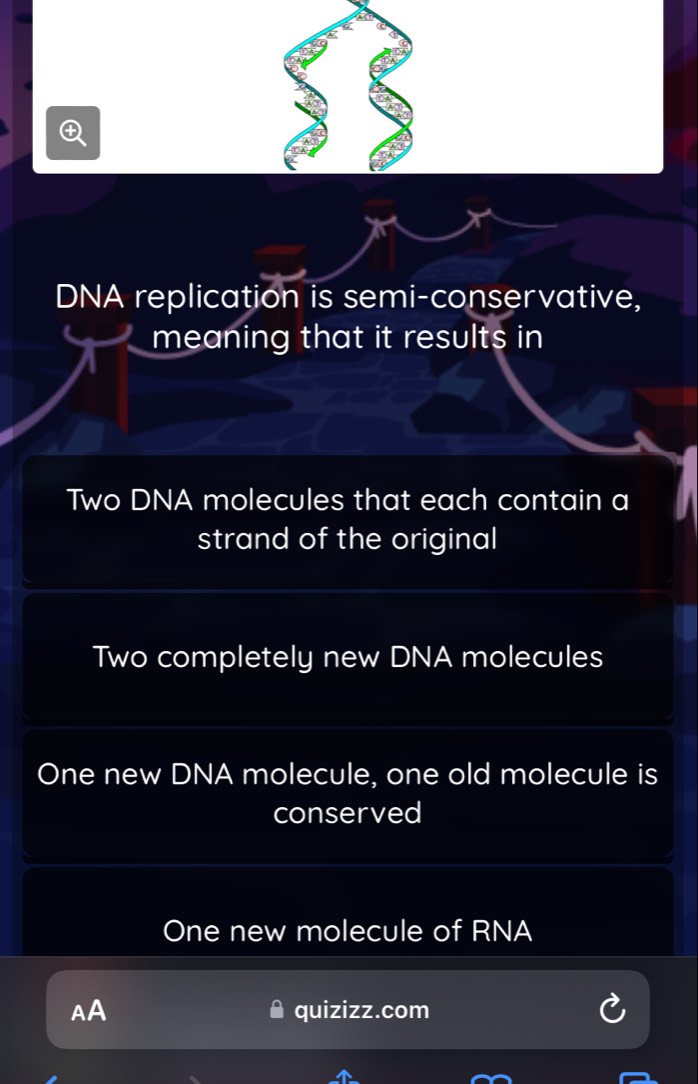 Solved: DNA replication is semi-conservative, meaning that it results ...
