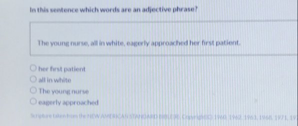 Solved: In this sentence which words are an adjective phrase? The young nurse, all in white ...