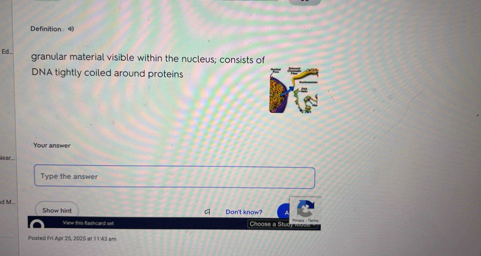 Solved: Definition Ed... granular material visible within the nucleus ...