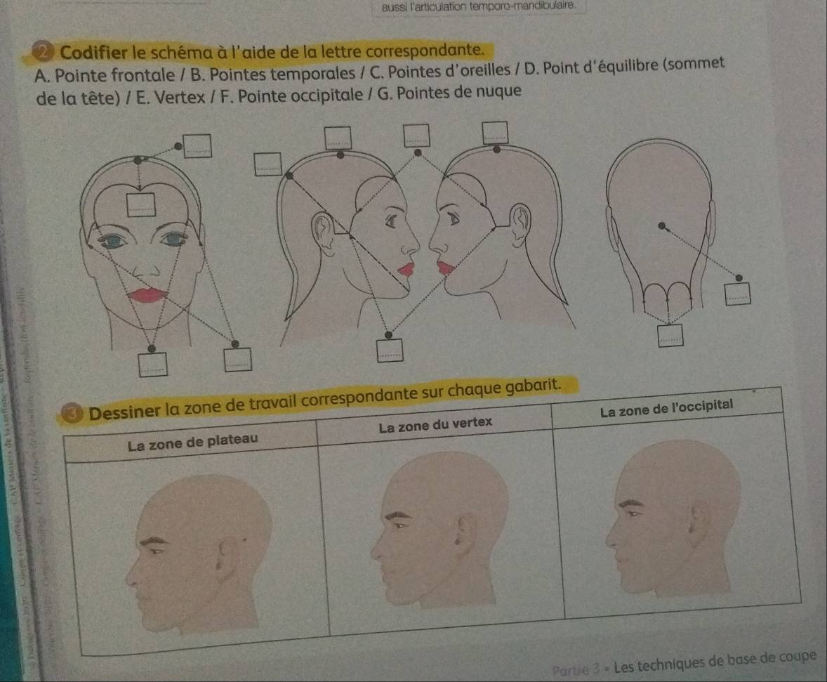 Résolu :aussi l'articulation temporo-mandibulaire 2 Codifier le schéma ...