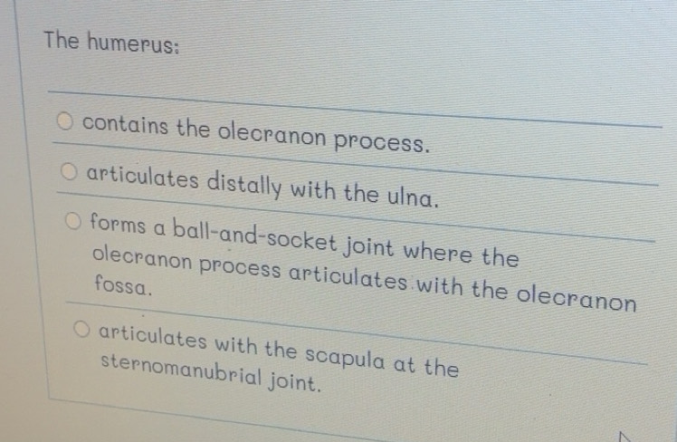 Solved: The humerus: contains the olecranon process. articulates ...