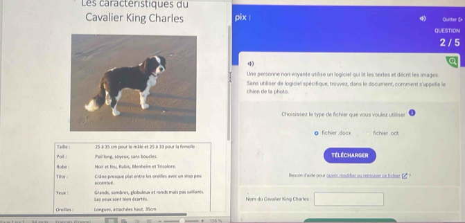 Résolu :Les caractéristiques du Cavalier King Charles pix l Quitter ...