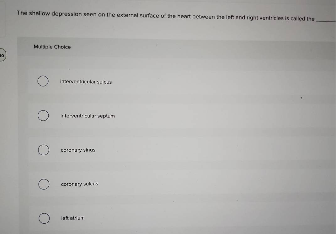Solved: The shallow depression seen on the external surface of the ...