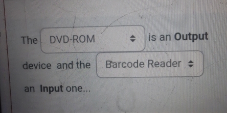 Solved: The DVD-ROM is an Output device and the Barcode Reader an Input ...