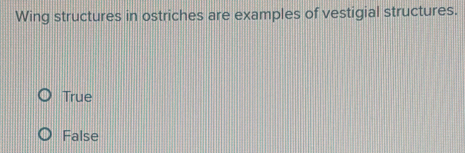 Solved: Wing structures in ostriches are examples of vestigial ...