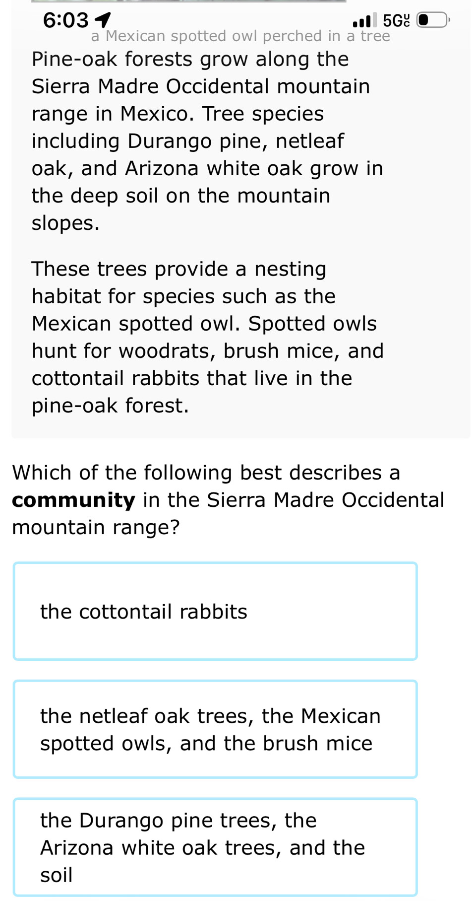 Solved: 6:03 5G४ a Mexican spotted owl perched in a tree Pine-oak forests grow along the Sierra ...