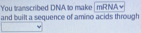 Solved: You transcribed DNA to make | mRNA≌ and built a sequence of ...