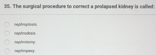 Solved: The surgical procedure to correct a prolapsed kidney is called ...
