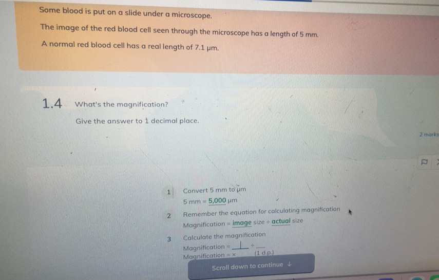 Gelöst:Some blood is put on a slide under a microscope. The image of ...