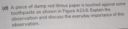 Solved: A piece of damp red litmus paper is touched against some ...