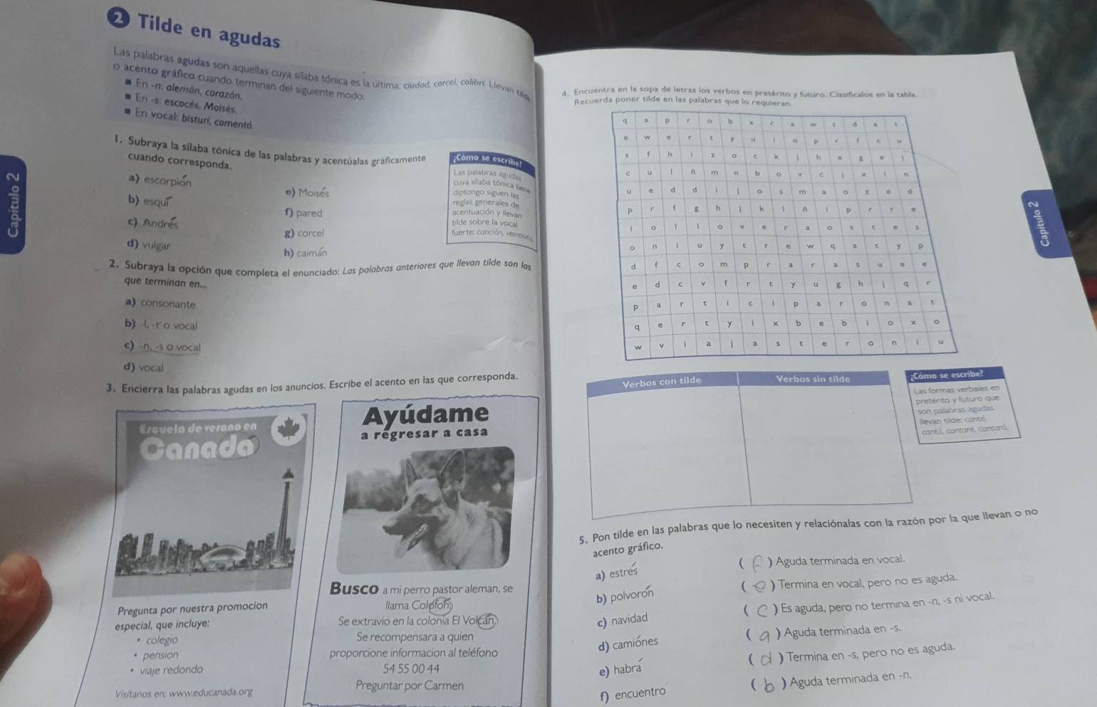 Resuelto:Tilde en agudas Las palabras agudas son aquellas cuya silaba ...