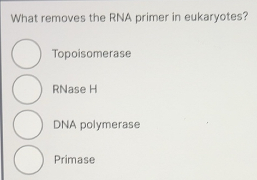 Solved: What removes the RNA primer in eukaryotes? Topoisomerase RNase ...