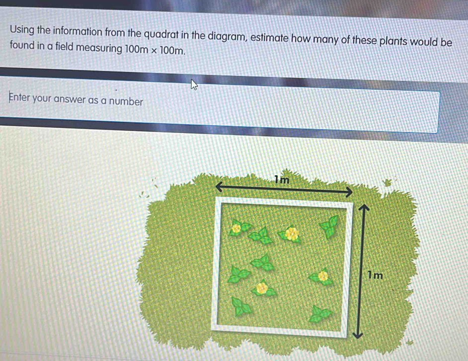 Solved: Using the information from the quadrat in the diagram, estimate ...