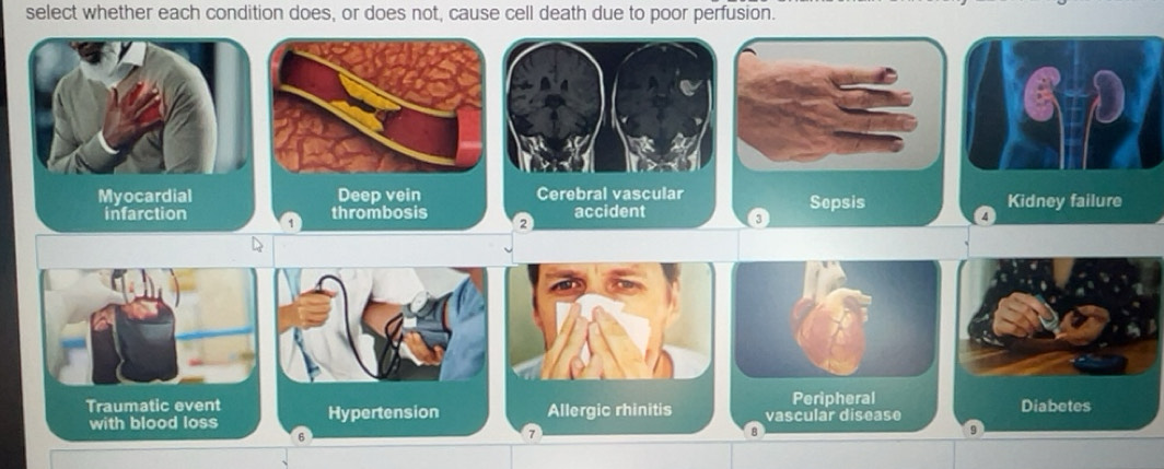 Solved: select whether each condition does, or does not, cause cell ...