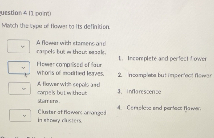 Solved: uestion 4 (1 point) Match the type of flower to its definition ...