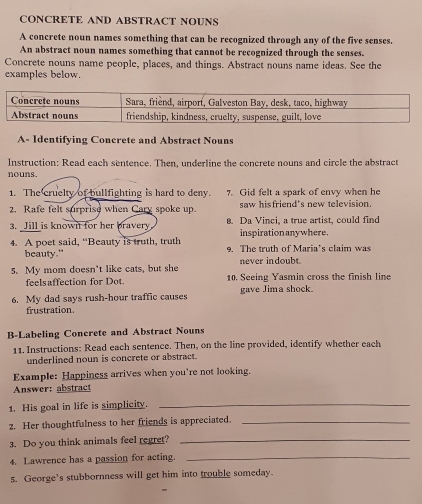 Solved: CONCRETE AND ABSTRACT NOUNS A concrete noun names something ...