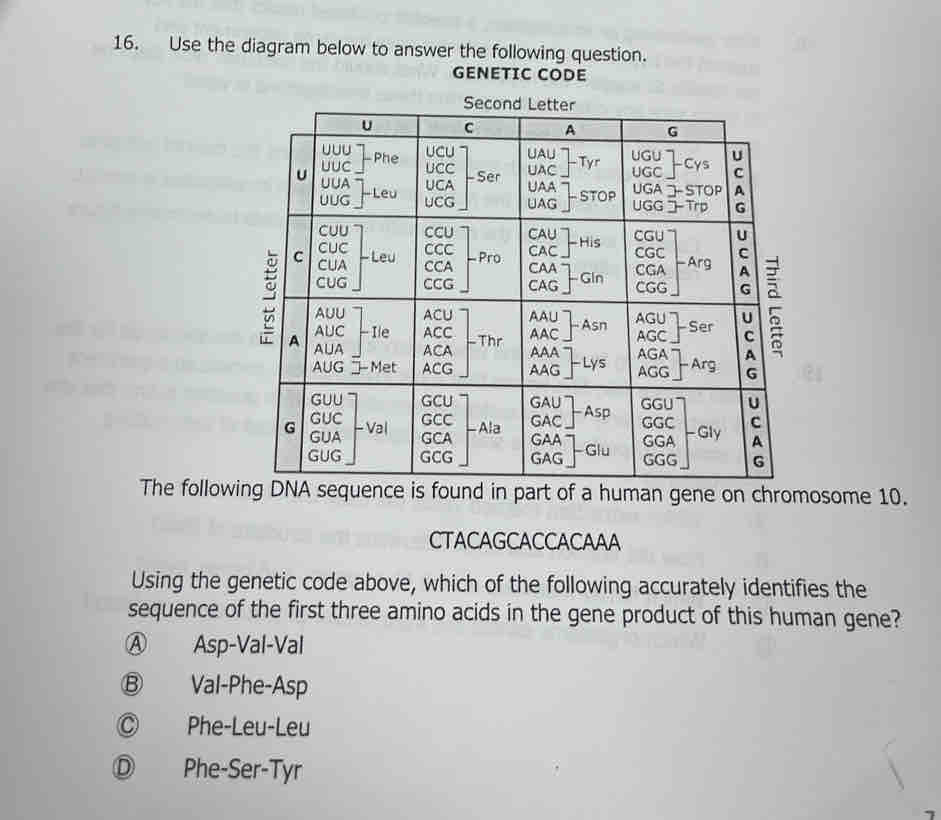 Use the diagram below to answer the following question. GENETIC CODE ...