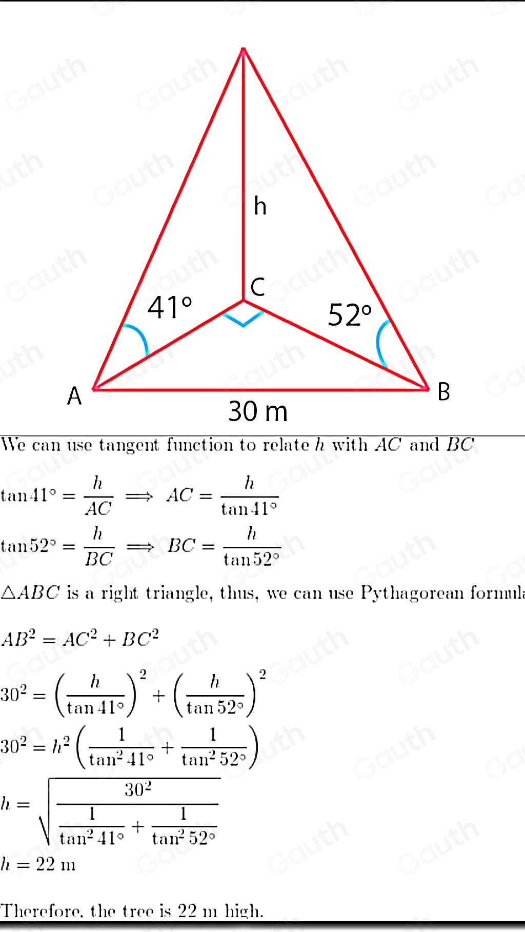 Solved: To estimate the amount of usable lumber in a tree, Chitra must ...