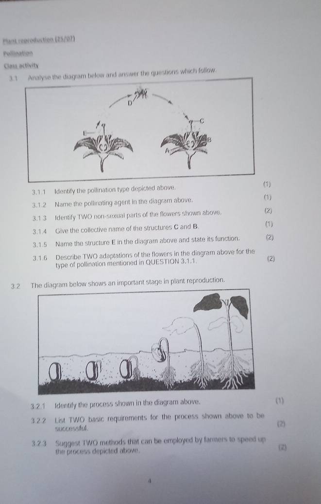 Solved: Plant reproduction (25/07) Pollination Class activity 3.1 ...