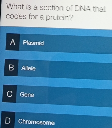 Solved: What is a section of DNA that codes for a protein? A Plasmid B ...