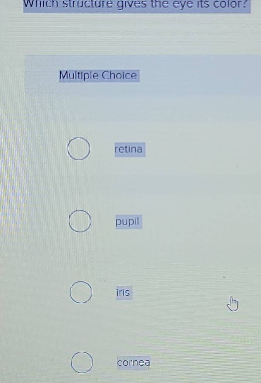 Solved: Which structure gives the eye its color: Multiple Choice retina ...