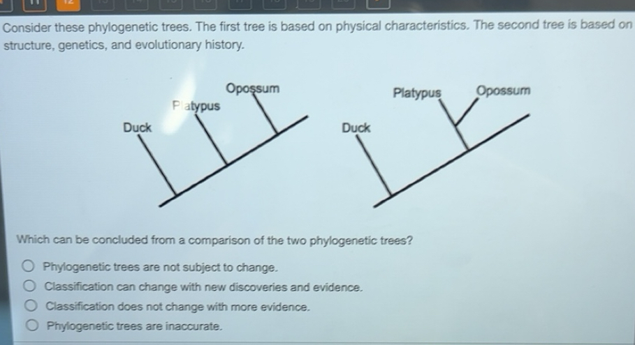 Gelöst:Consider these phylogenetic trees. The first tree is based on ...