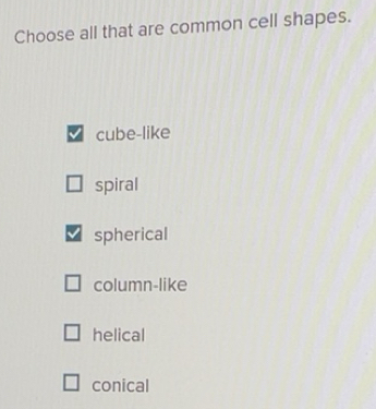 Solved: Choose all that are common cell shapes. cube-like spiral √ ...